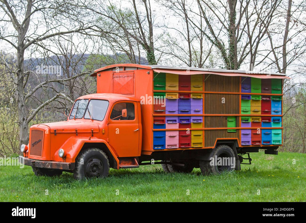 apiary, beehive, bee transportation, apiaries, beehives Stock Photo - Alamy