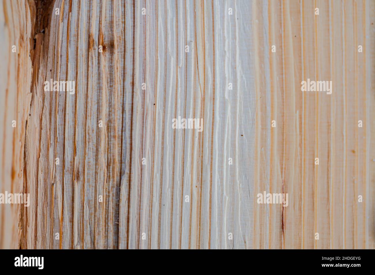 Fir wood texture hi-res stock photography and images - Alamy
