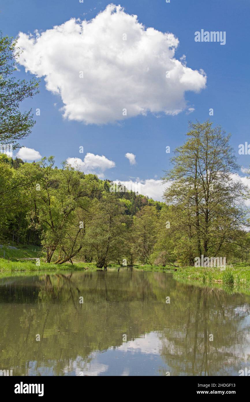 Schwarze laber hi-res stock photography and images - Alamy