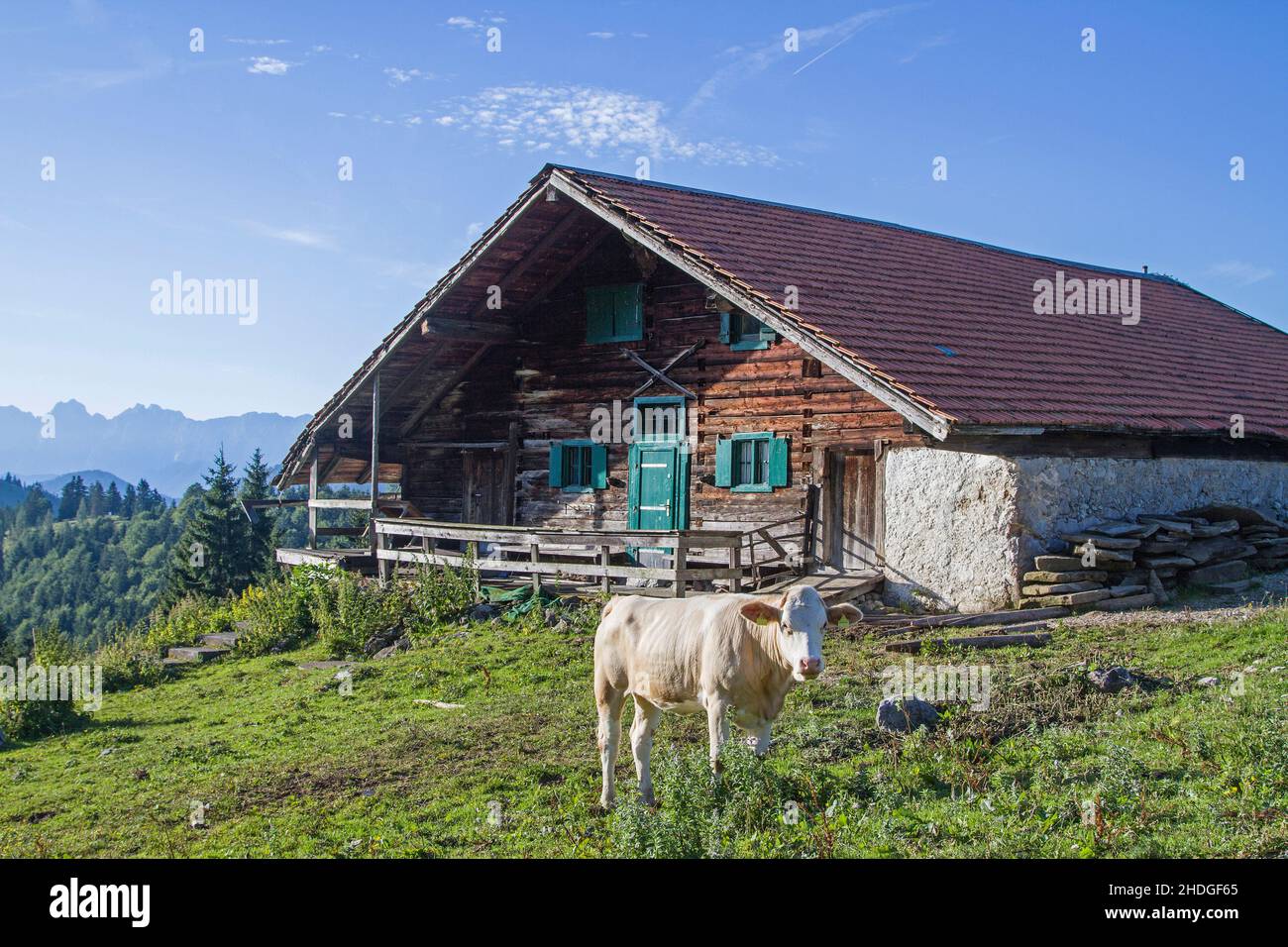 Cattle huts hi-res stock photography and images - Alamy