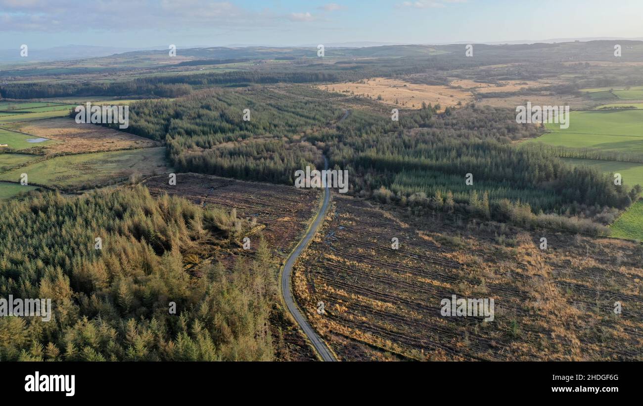 Aerial Photograph Of a Forestry and Village called Cross Inn ...