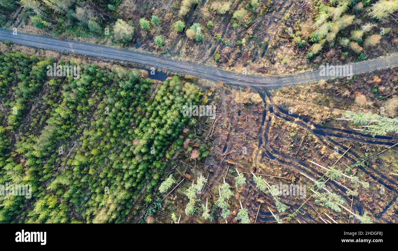 Aerial Photograph Of a Forestry and Village called Cross Inn ...