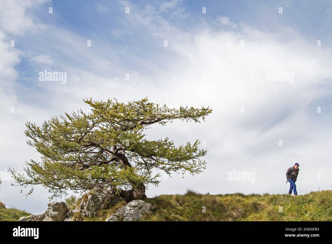 Monte bondone italy hi-res stock photography and images - Alamy