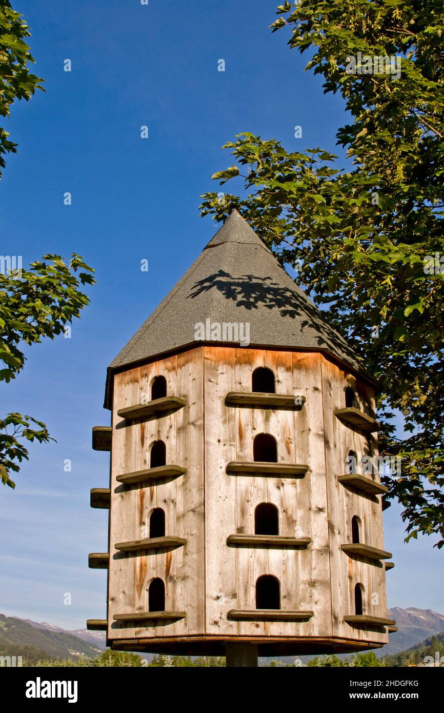 Homing pigeons hi-res stock photography and images - Alamy