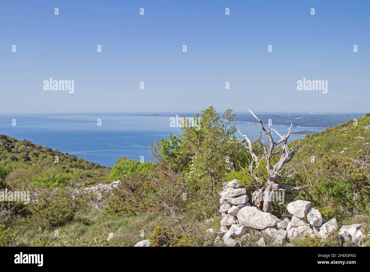 Macchie hi-res stock photography and images - Alamy