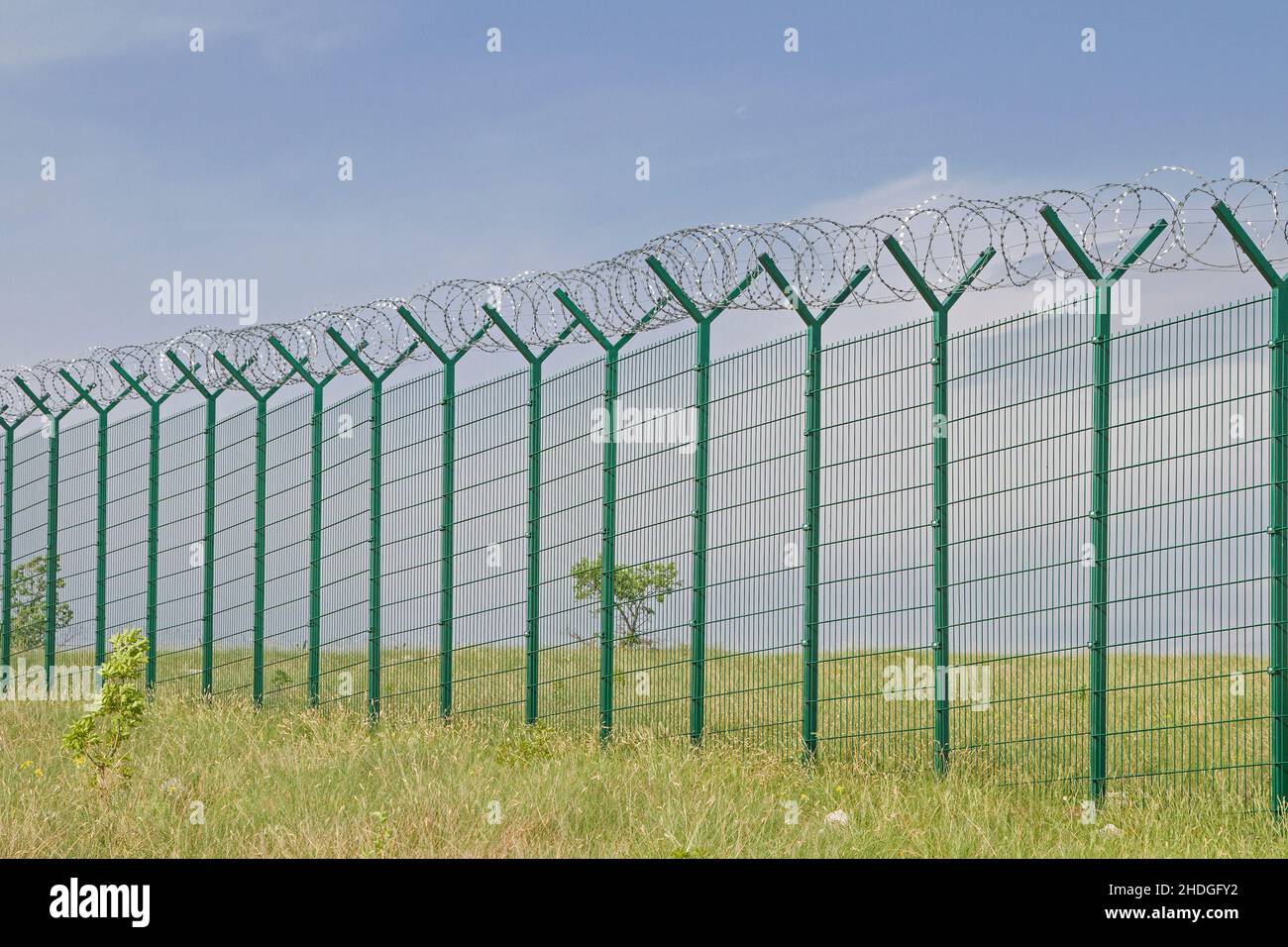 razor wire, exclusion, border fence, razor wires, exclusions, border ...