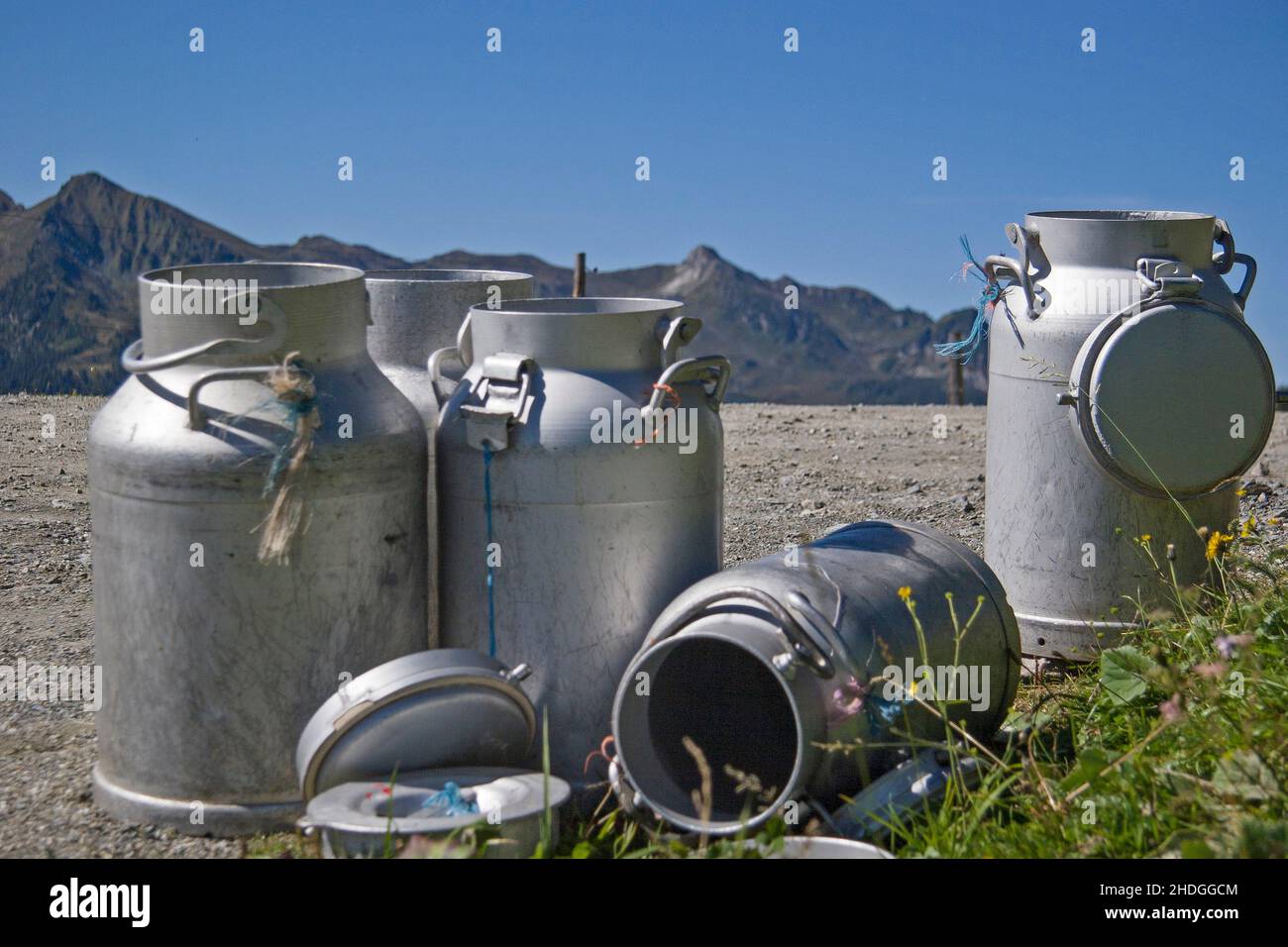 milk jug, milk jugs Stock Photo - Alamy