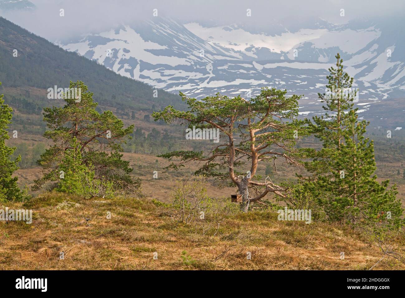 Natur fjell hi-res stock photography and images - Alamy