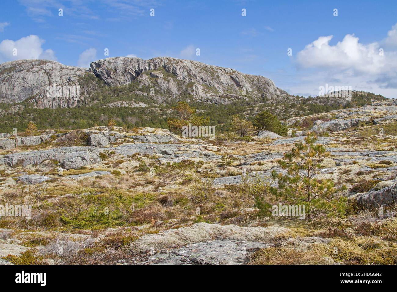 Natur fjell hi-res stock photography and images - Alamy