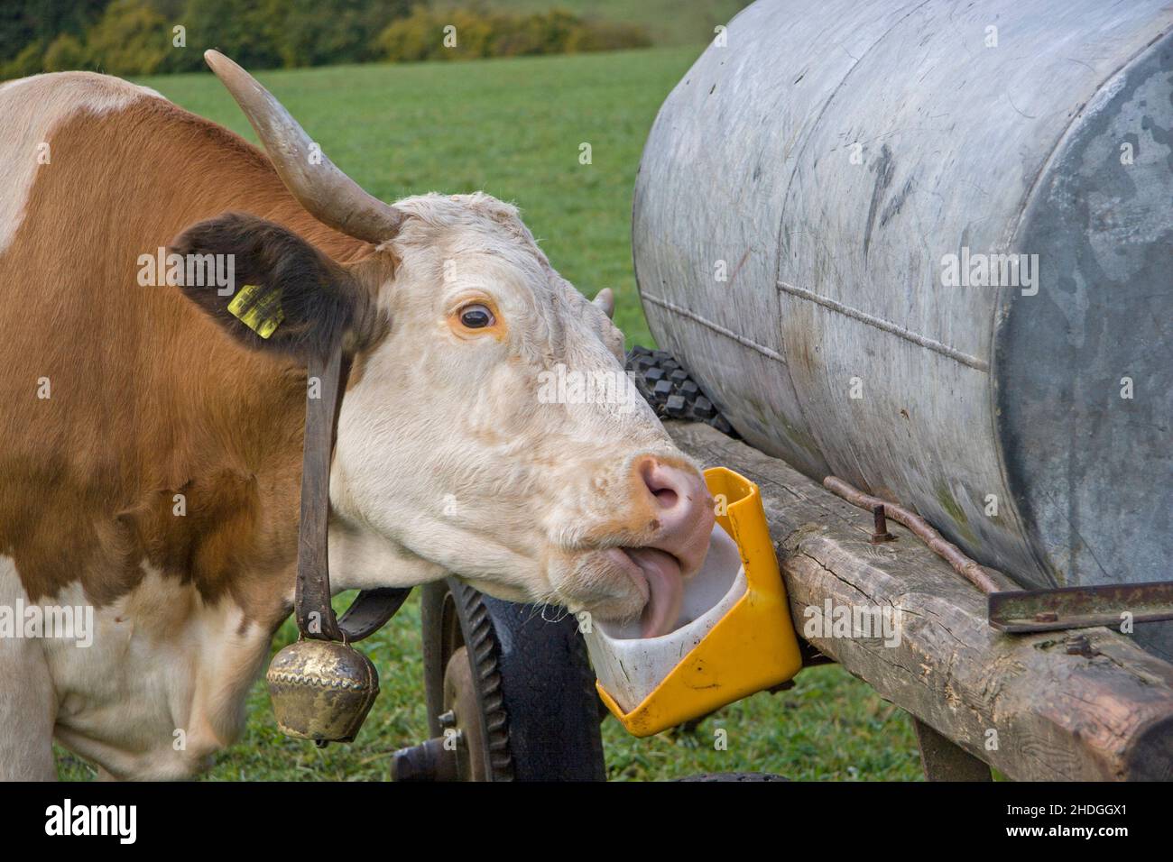 Stone barrels hi-res stock photography and images - Alamy