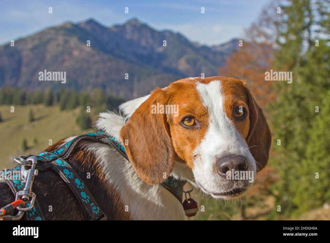 Noticeable hi-res stock photography and images - Alamy