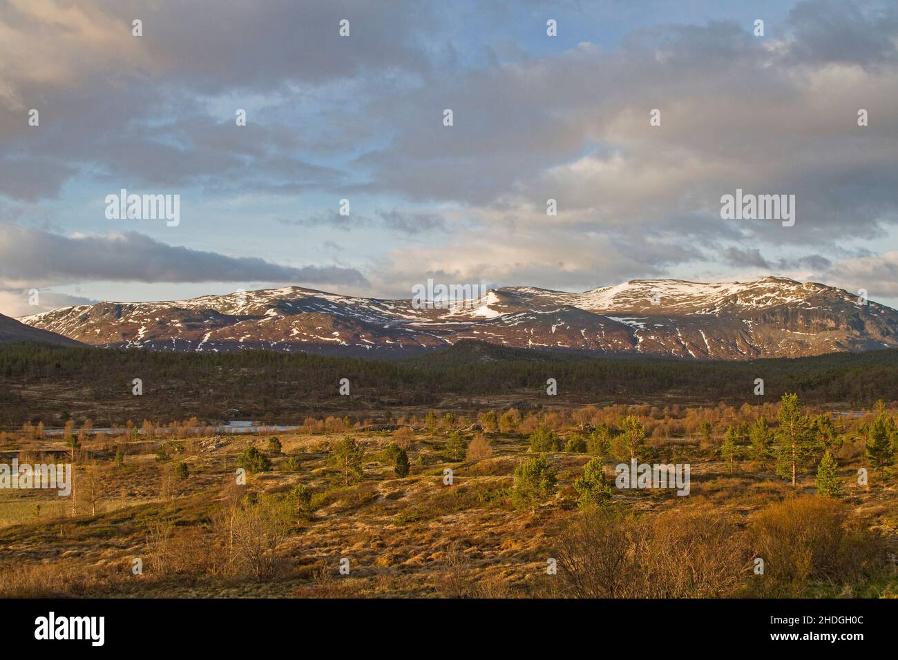 Norways national mountain hi-res stock photography and images - Alamy