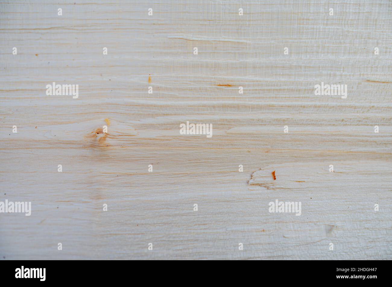Fresh wood log texture background. Sycamore maple, Acer pseudoplatanus ...