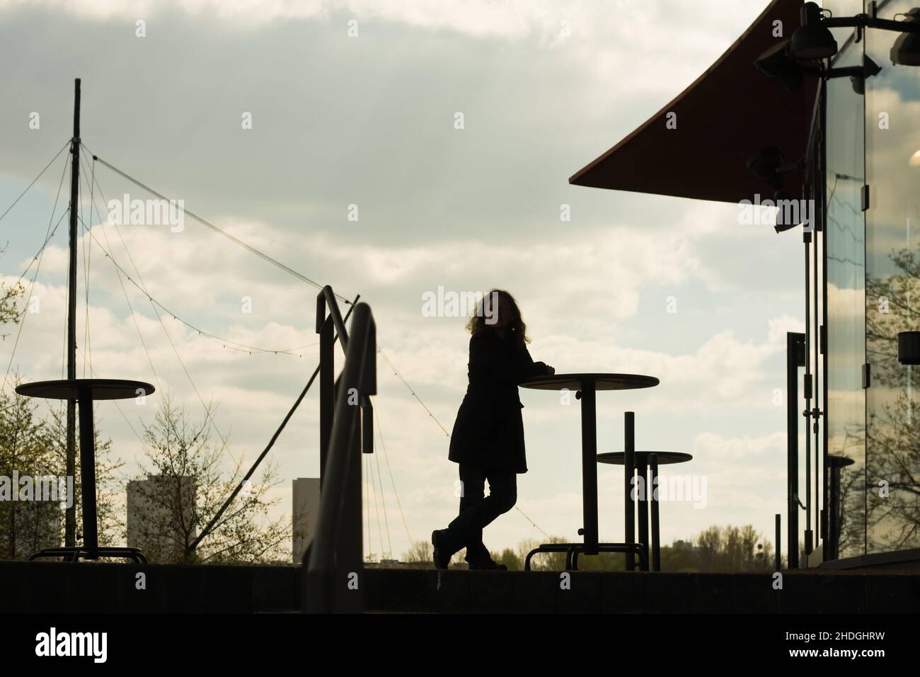 woman, silhouette, bar counter, female, ladies, lady, women ...