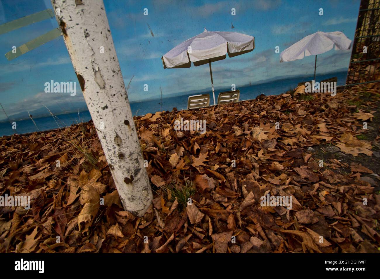 beach, autumn, mural, beaches, seaside, fall, murals Stock Photo - Alamy
