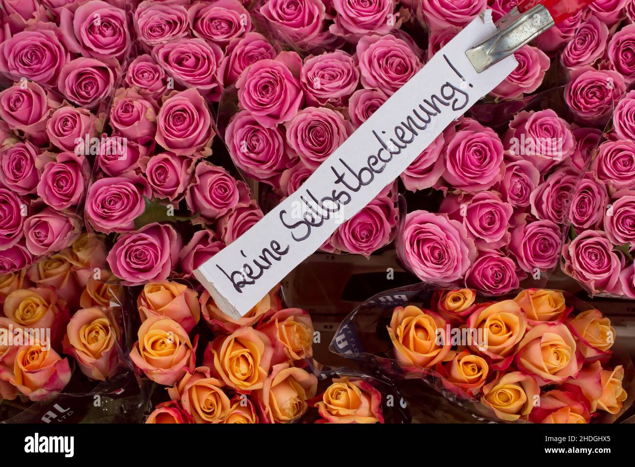 self service, flower shop, self services, flower shops, retail Stock ...