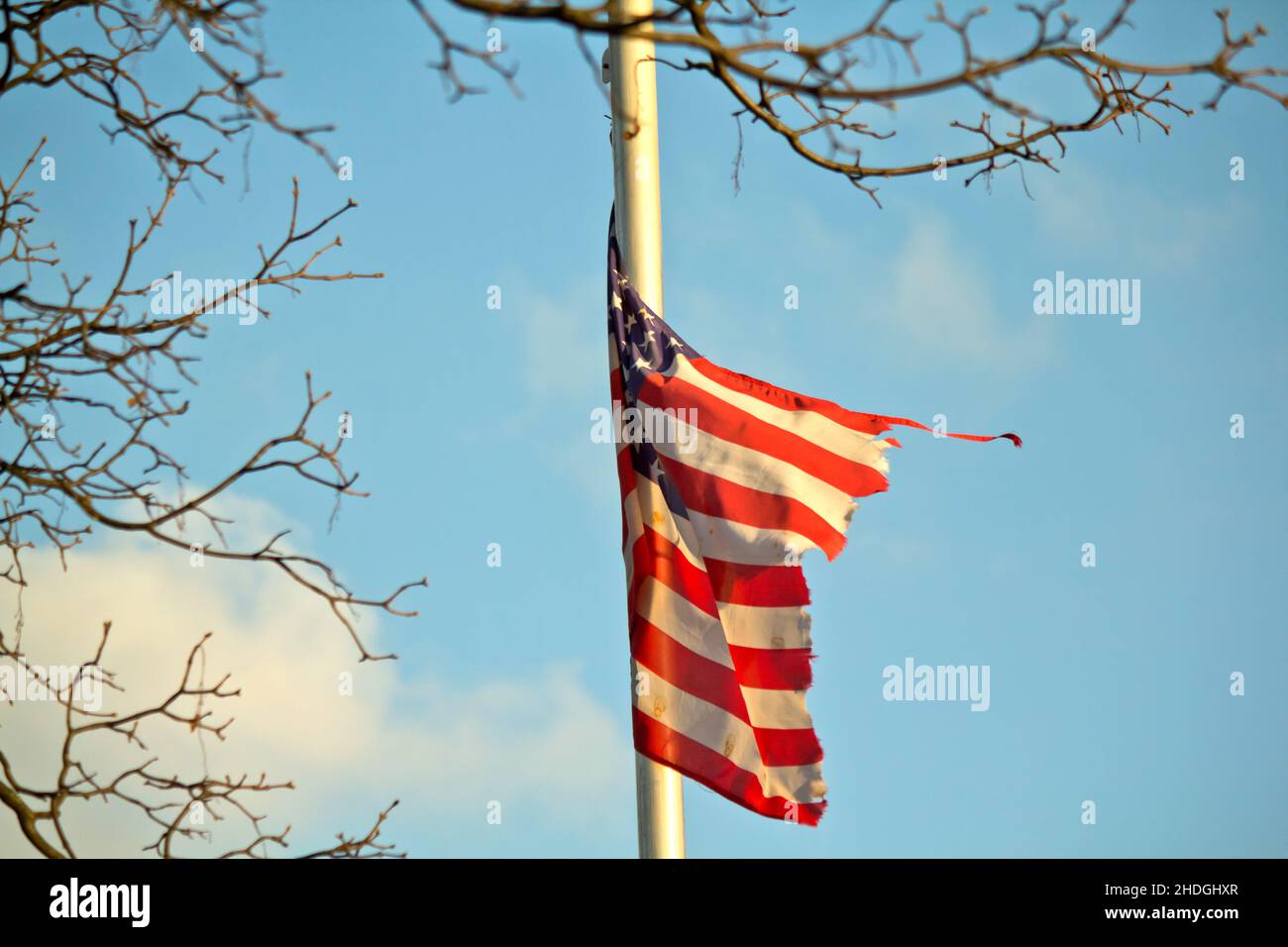 american flag, pulling flower, american flags, pulling flowers Stock ...