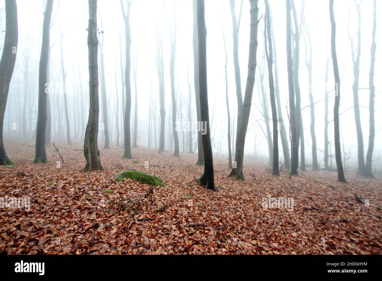 Novembers hi-res stock photography and images - Alamy