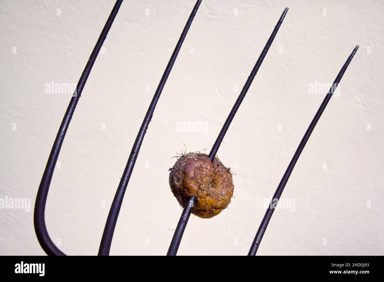 compost, rotting, pitchfork, composts, pitchforks Stock Photo - Alamy
