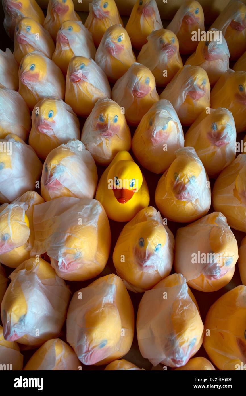 rubber duck, mass production, rubber ducks, mass productions Stock ...