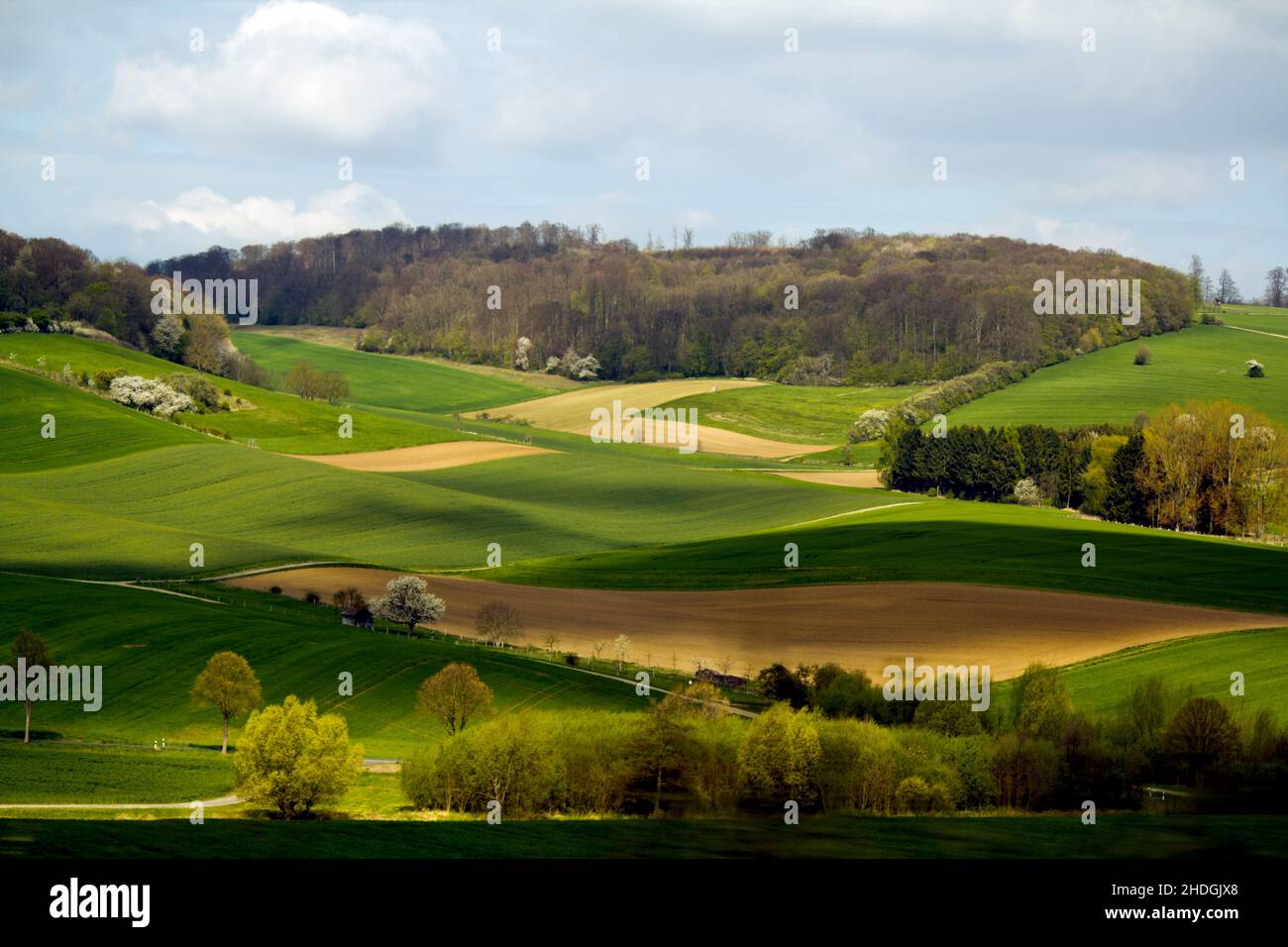 landscape, hesse, landscapes, rural, rural scene, scene, scenery ...
