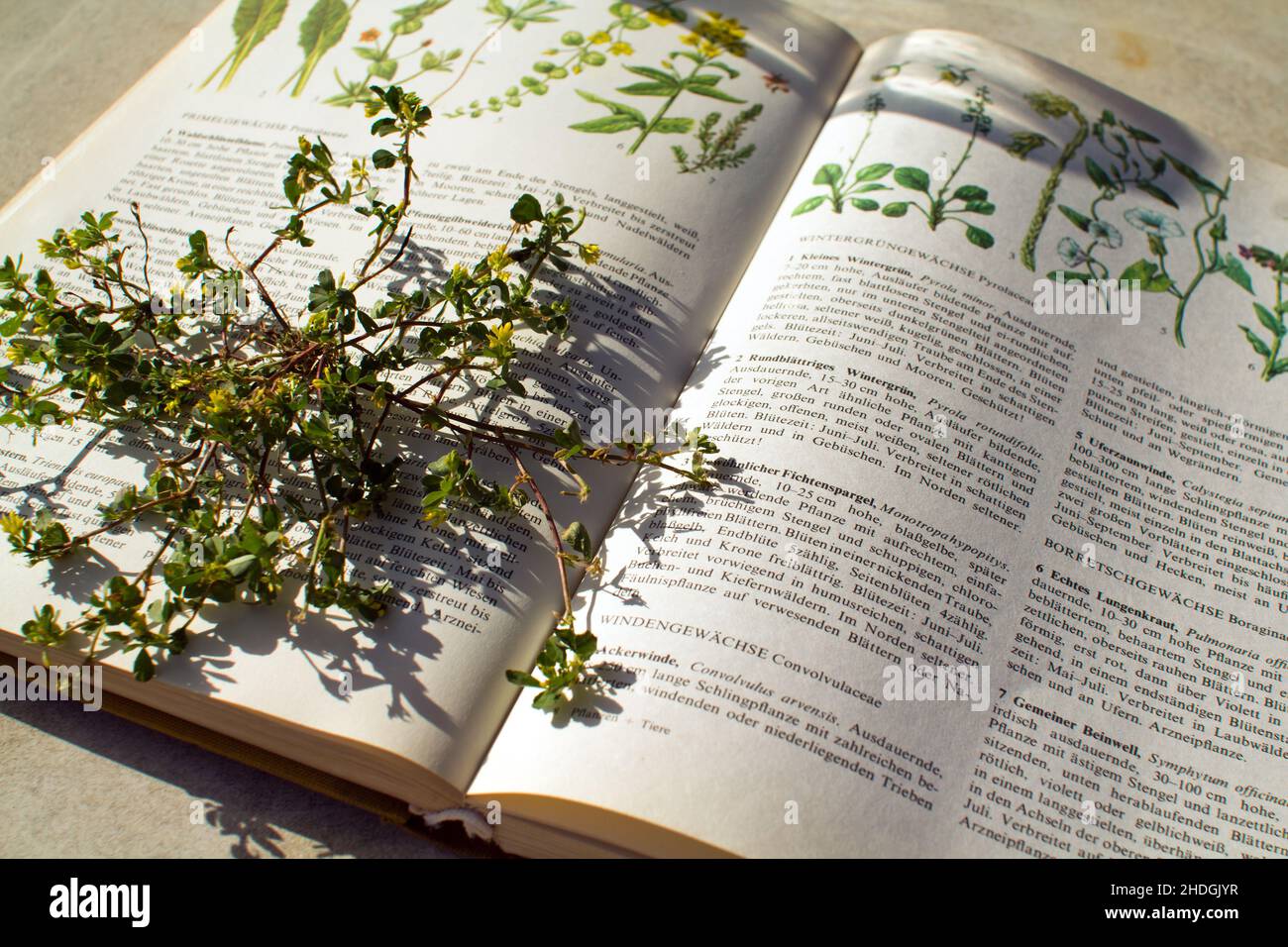 Books of reference hi-res stock photography and images - Alamy