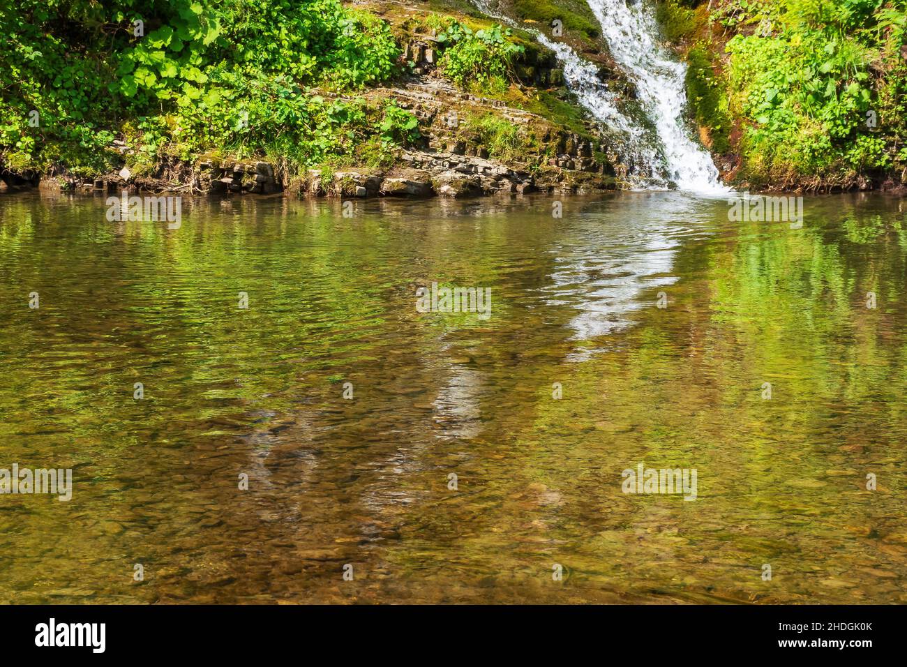 small waterfall stream in the forest. refreshing scenery in summer. beautiful nature background ...