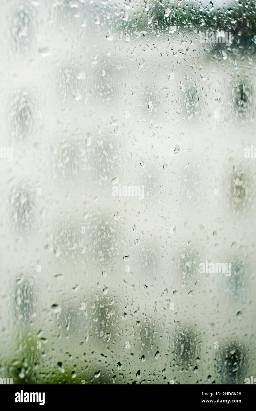 wet, window, rain weather, damp, wetness, wets, windows, rain weathers ...