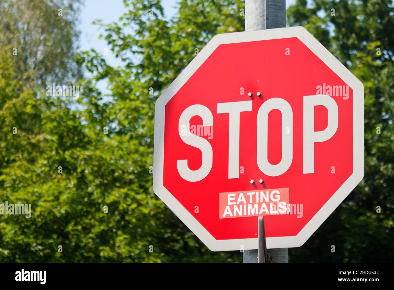 stop, animal welfare, vegan, stops, animal welfares, vegans Stock Photo ...