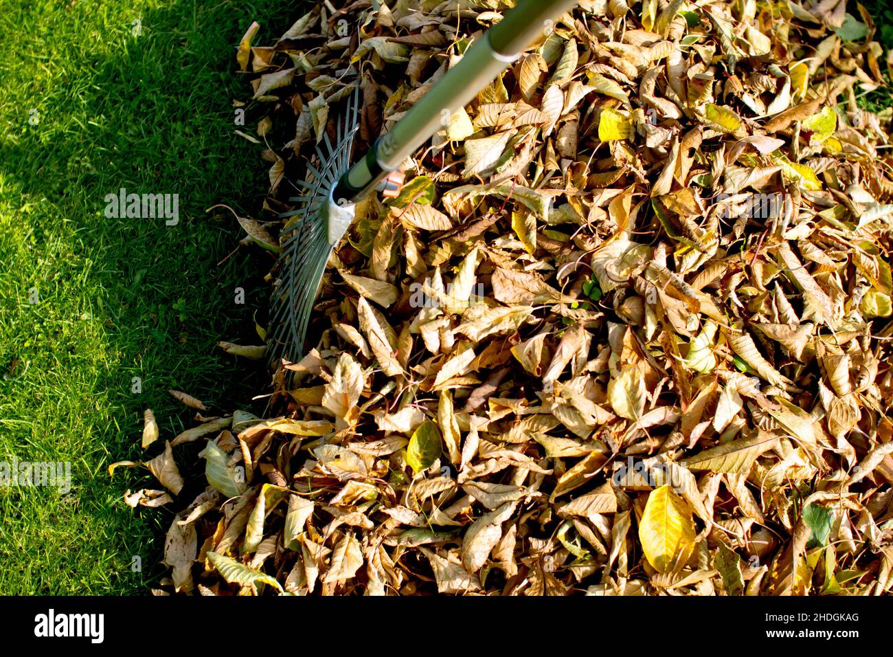 leaf pile, allotment gardens, leaf piles, allotment garden Stock Photo ...