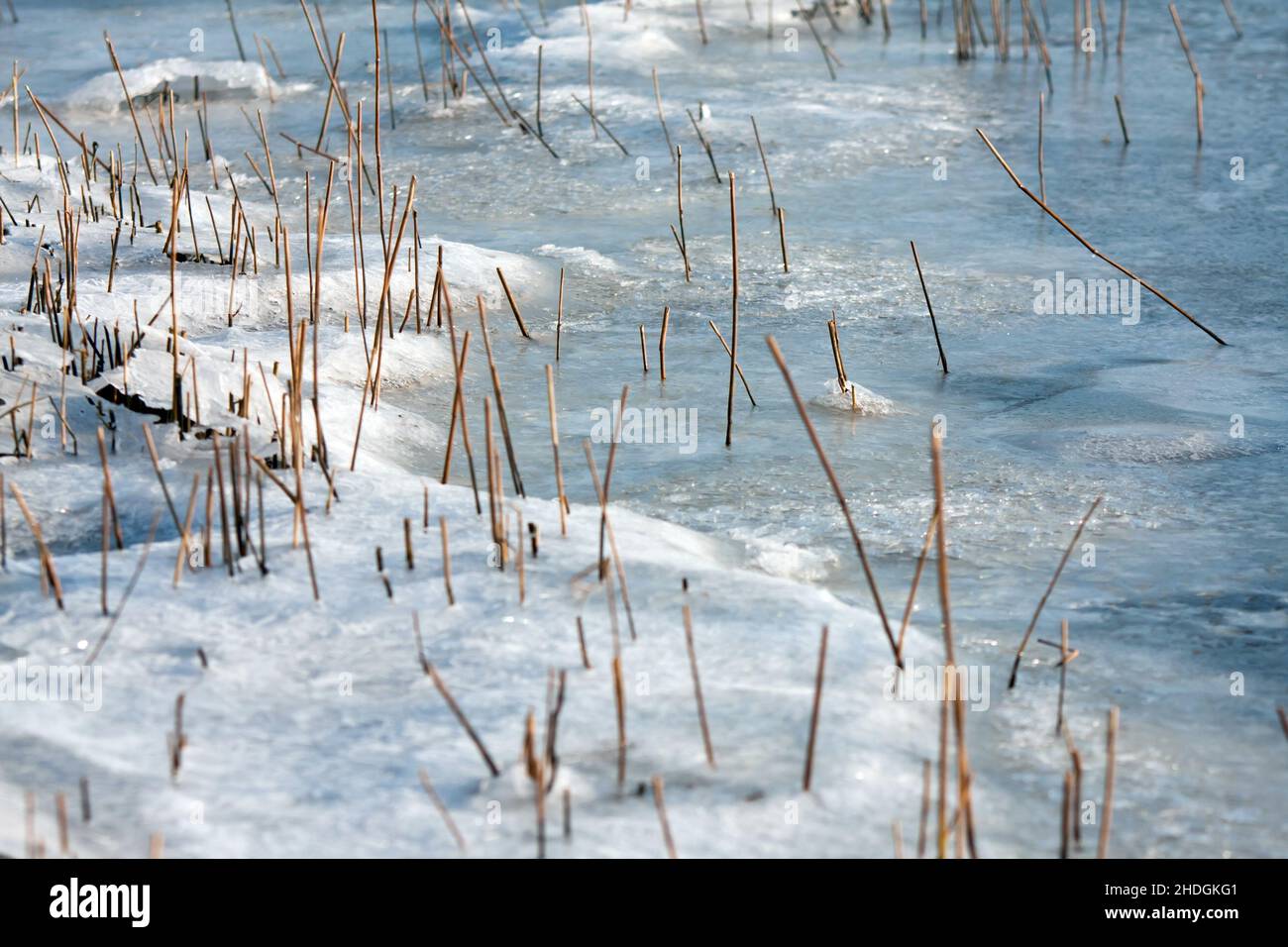 Icecaps hi-res stock photography and images - Alamy