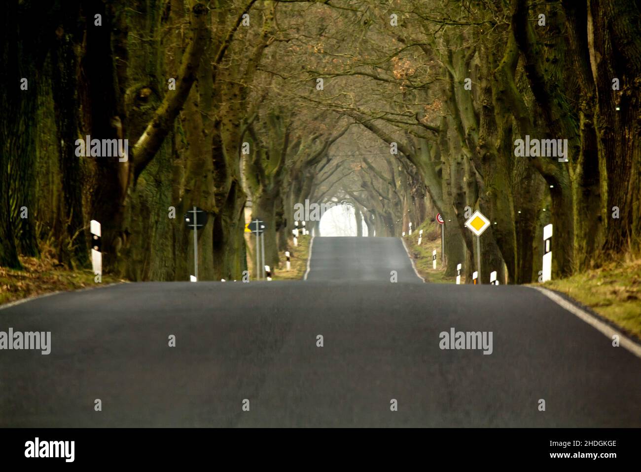 Straight alley hi-res stock photography and images - Alamy