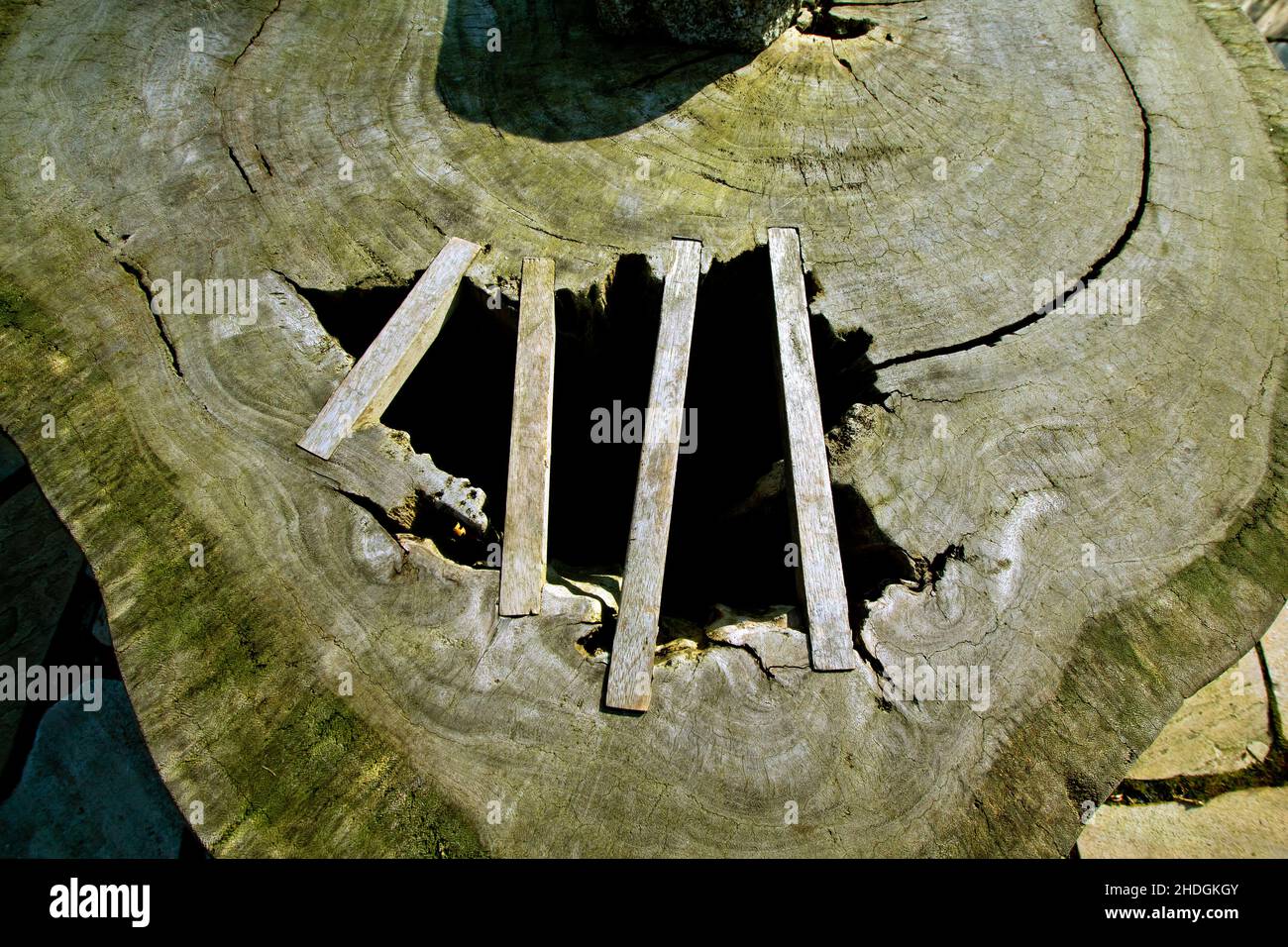 Darned hi-res stock photography and images - Alamy