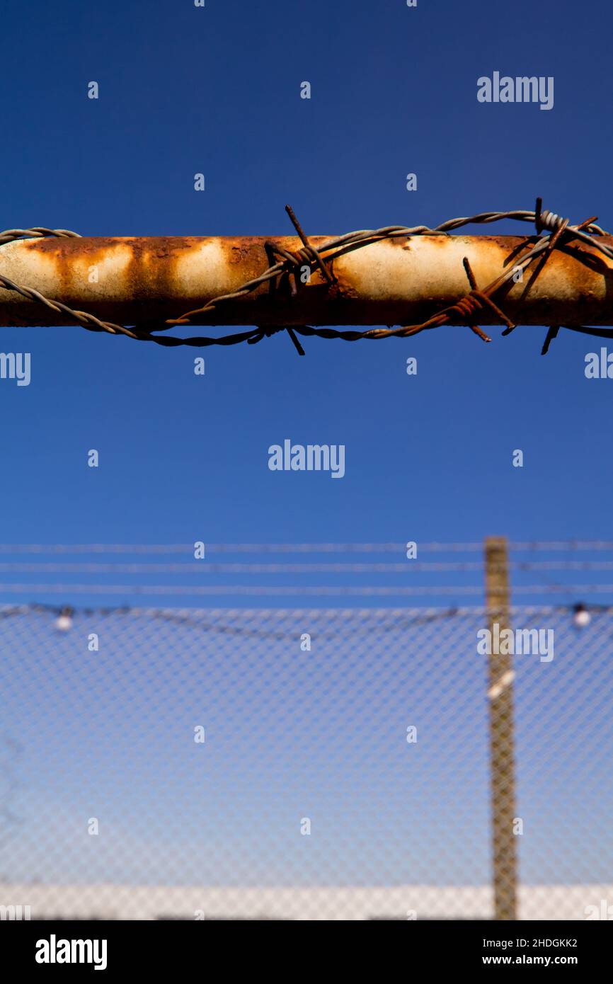 fence, razor wire, barrier, fences, razor wires, barriers Stock Photo ...