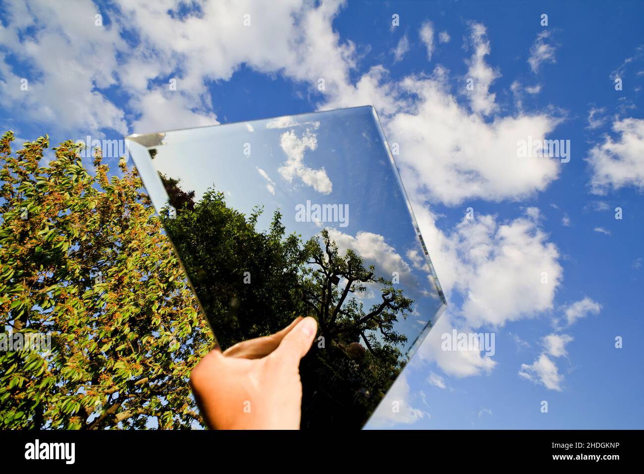 Natures mirror hi-res stock photography and images - Alamy