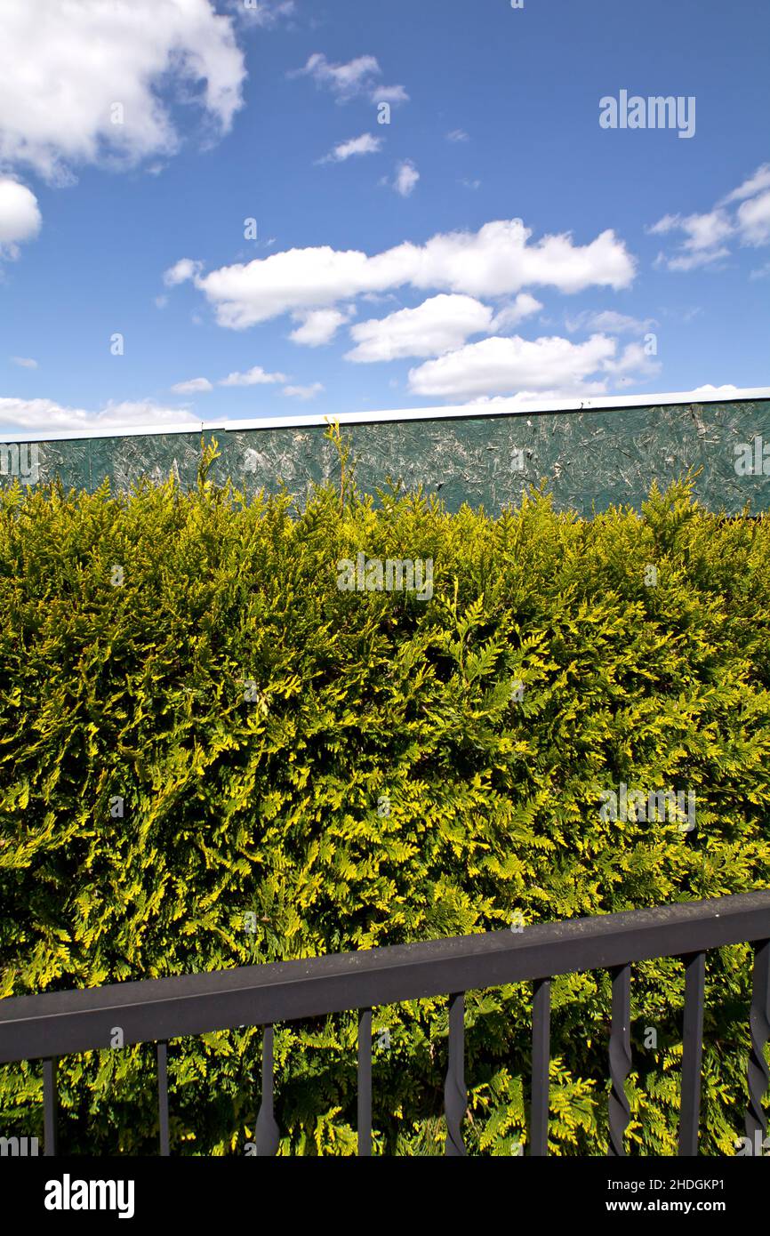 delineation, privacy, plot boundary, delineations, privacies, plot ...