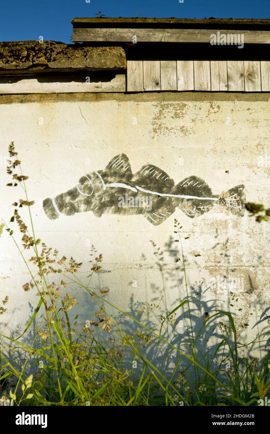 fish, wall drawing, fishes Stock Photo - Alamy