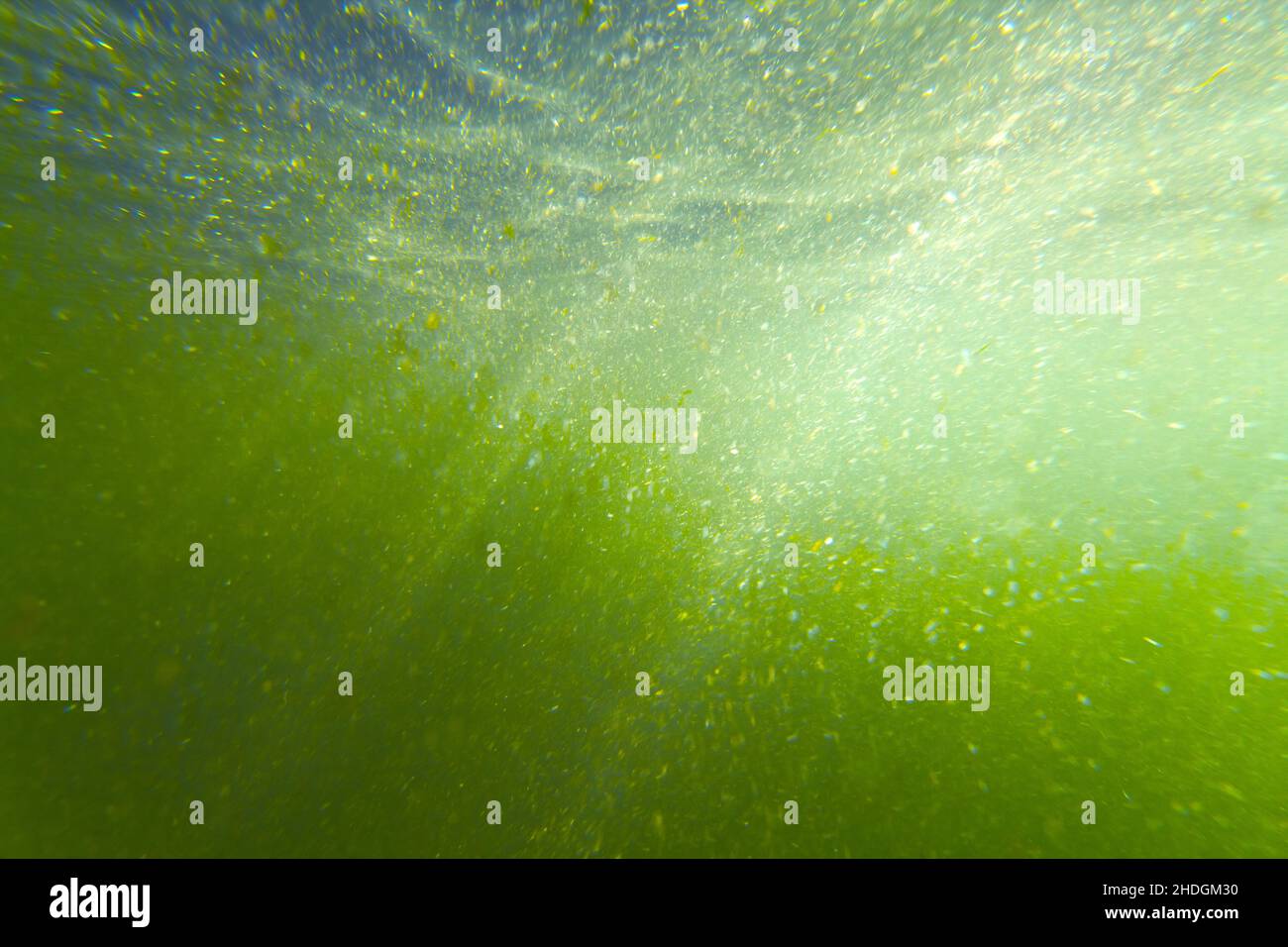 green, under water, light beam, greens, under waters, light beams ...