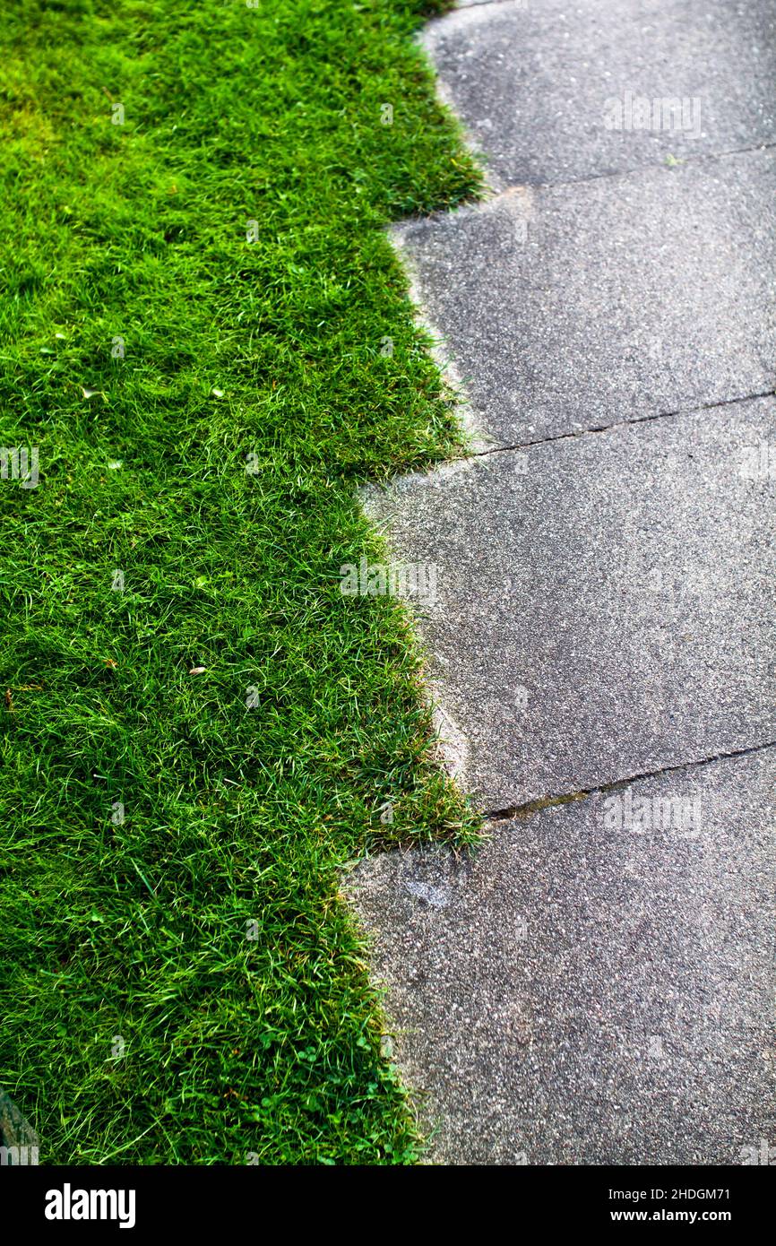 grass, paving slab, paving slabs, paving stone Stock Photo - Alamy