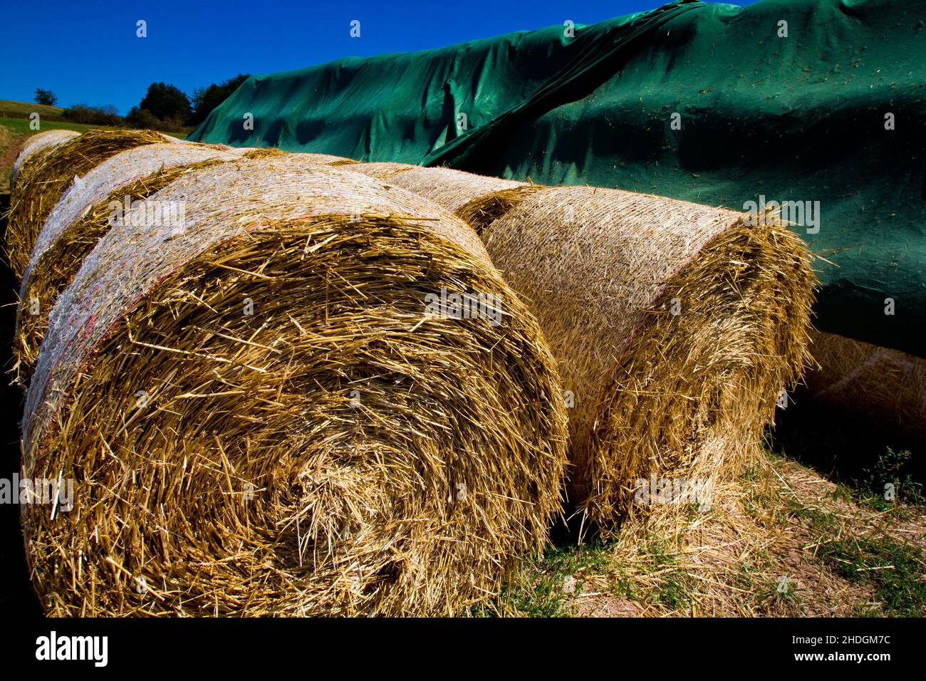 straw bales, straw bale Stock Photo - Alamy