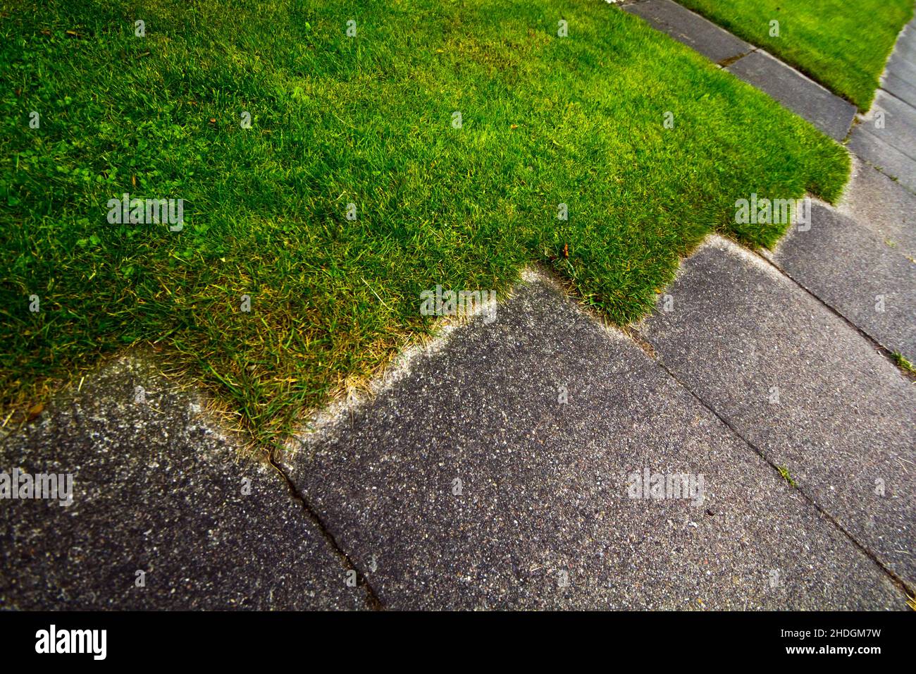 grass, paving slab, paving slabs, paving stone Stock Photo - Alamy
