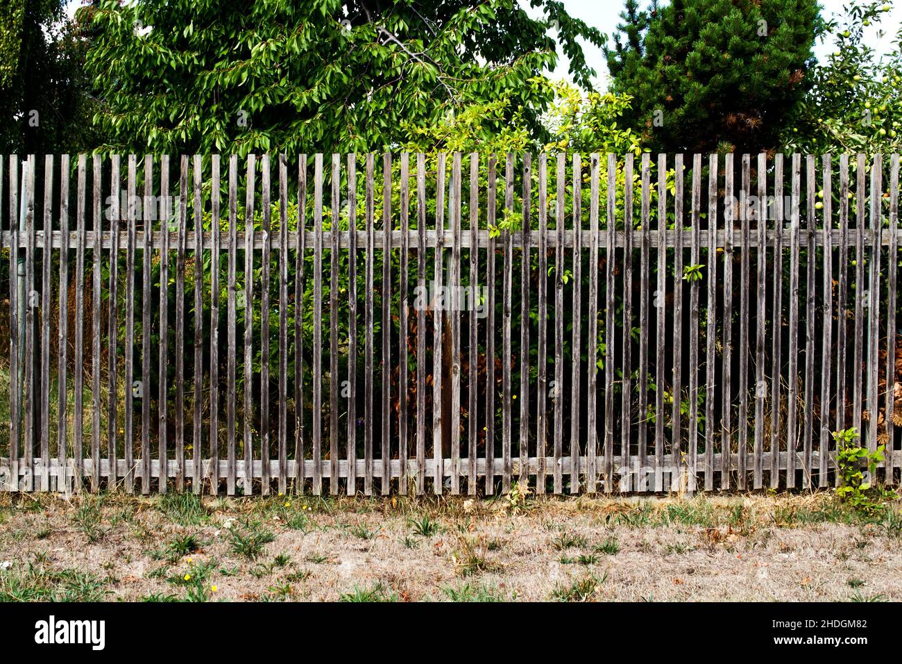 wooden fence, pale fence, wooden fences, pale fences Stock Photo - Alamy