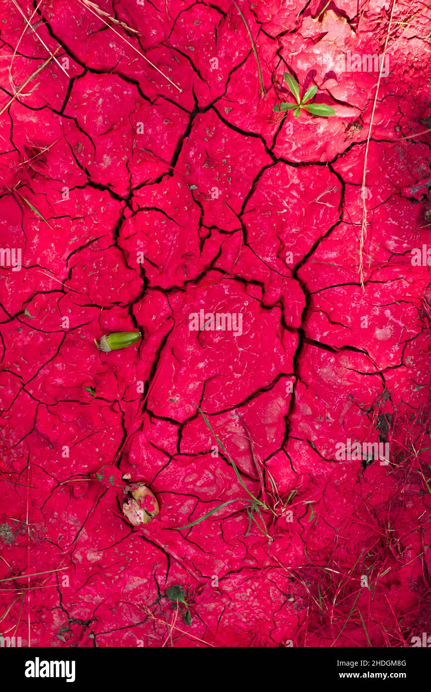 colour, cracked, dried, colours, crackeds, drieds Stock Photo - Alamy