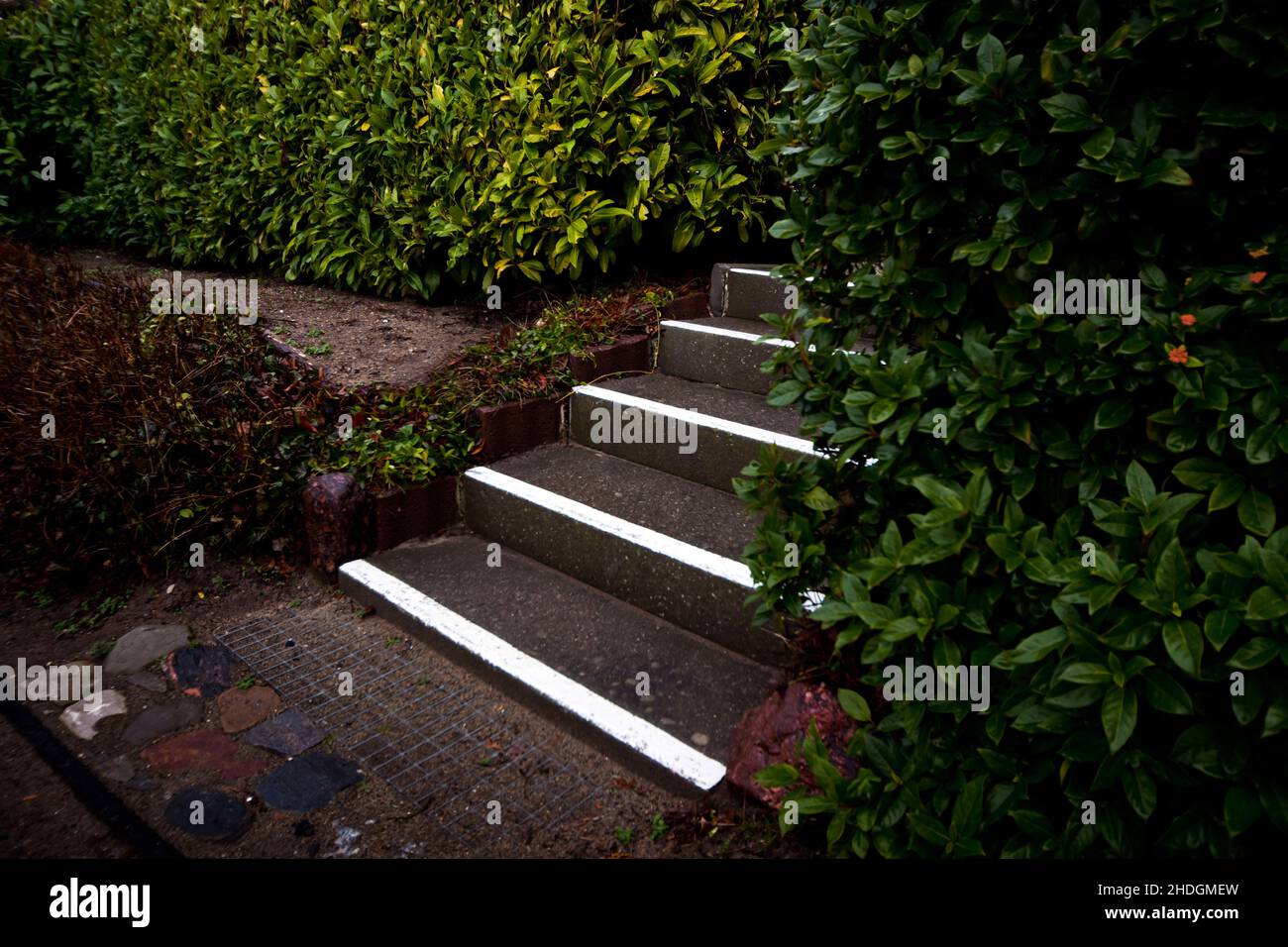 marker, single step, markers, single steps Stock Photo - Alamy