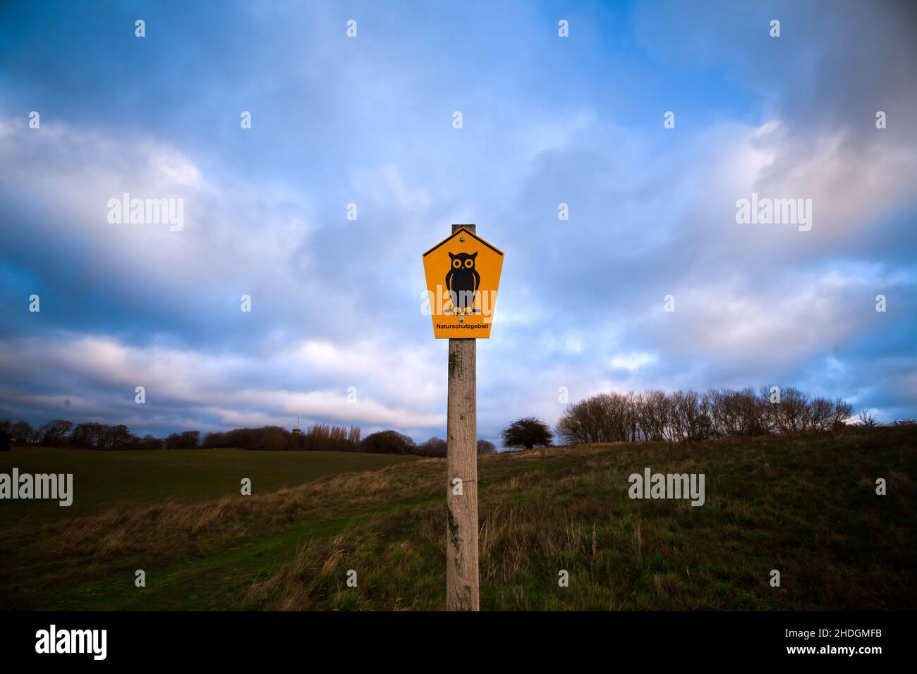 wildlife reserve, nature reserve, wild, wildlife reserves Stock Photo ...