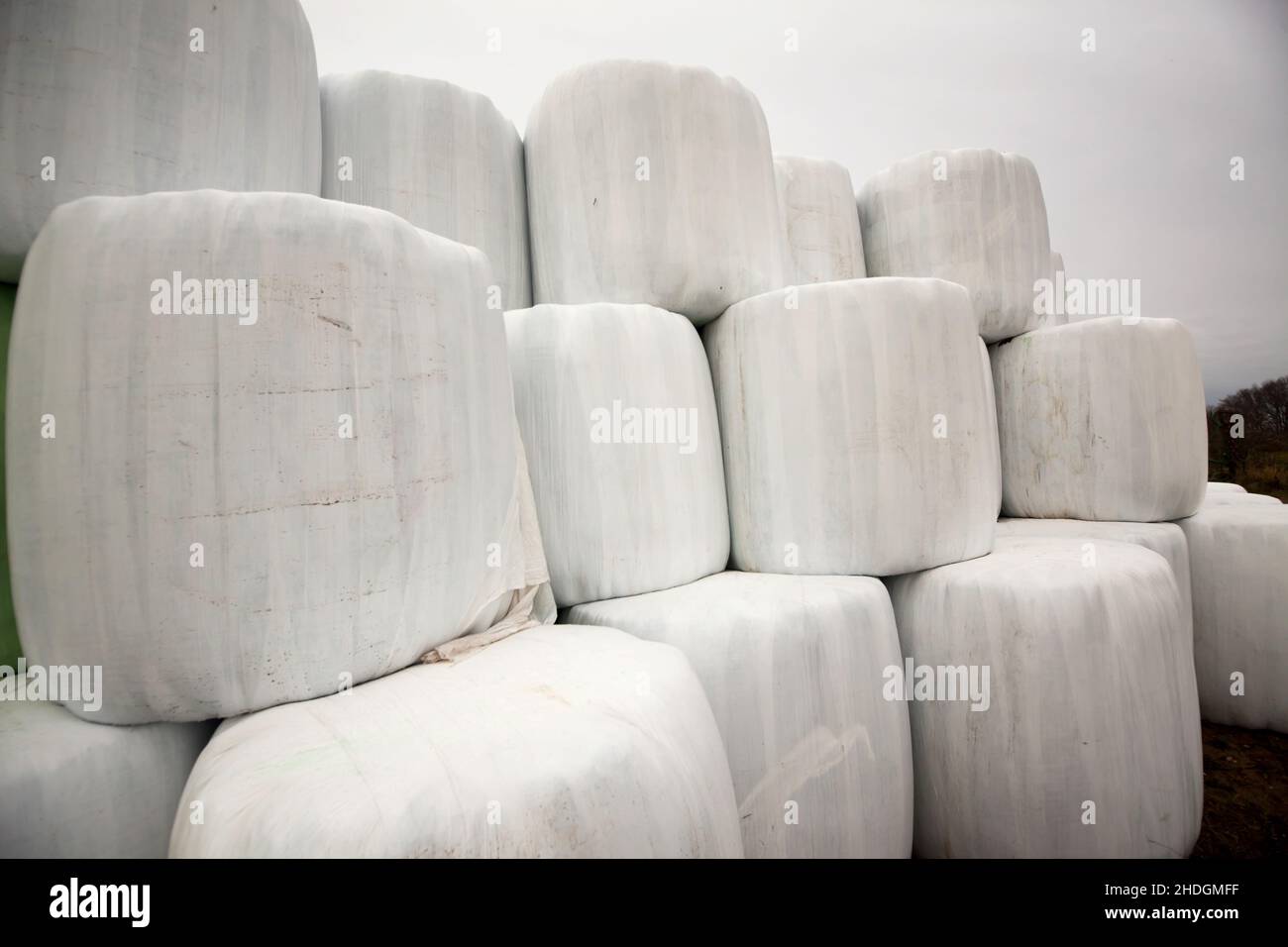 bale, round bales, bales, round bale Stock Photo - Alamy