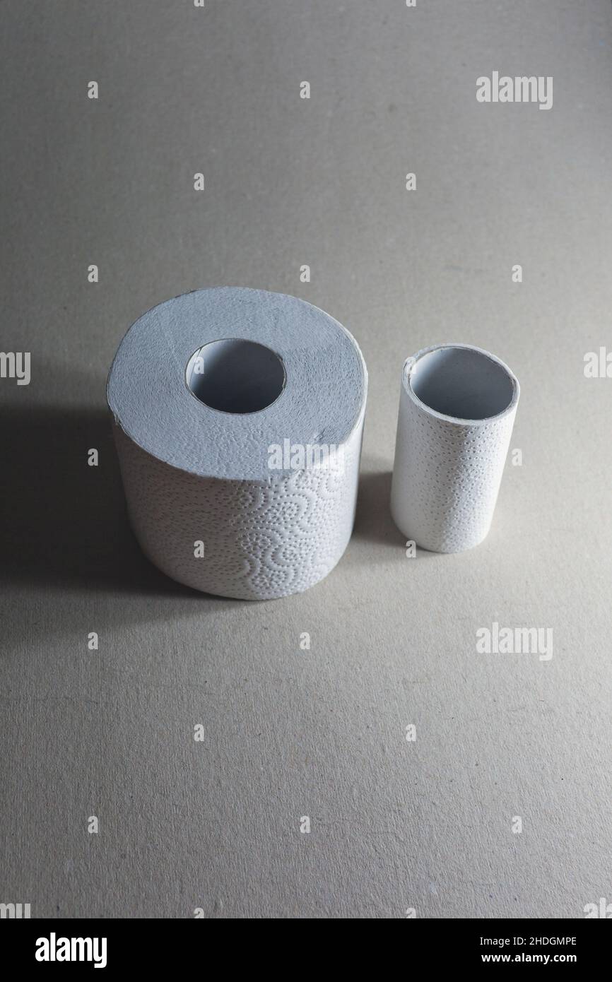 bog role, bog roles, toilet paper Stock Photo - Alamy