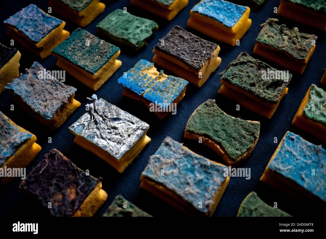 Kitchen cleaning dirty kitchens hi-res stock photography and images - Alamy