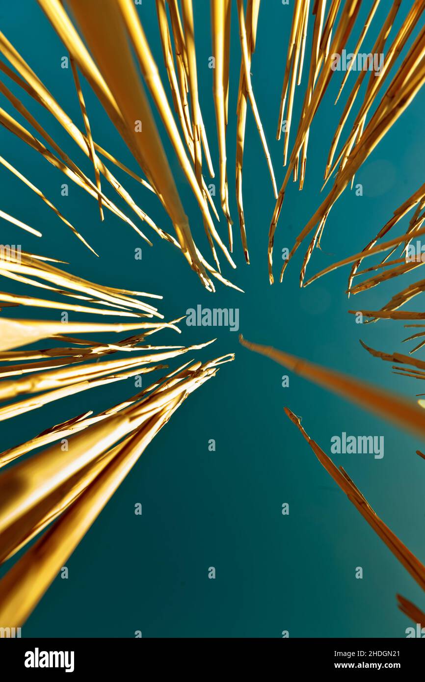 Reed pipes hi-res stock photography and images - Alamy