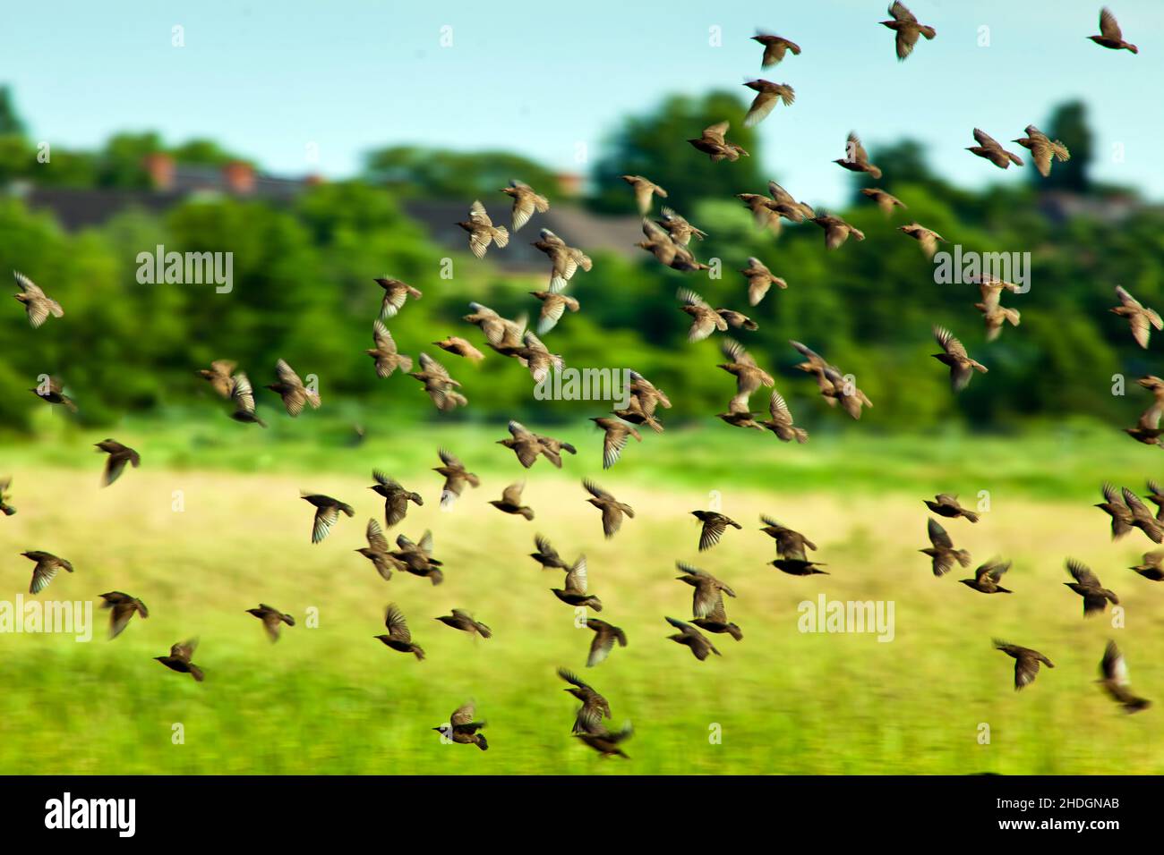 Flight speeds hi-res stock photography and images - Alamy